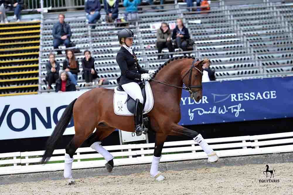 First Ampere scores 8.8 in the 5yo Qualifier at the Worlds – Elite ...