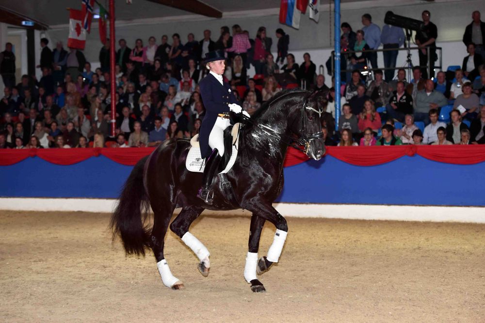 Dante Weltino – Elite Frozen Foals